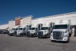 Produce Plus | Marketing and Brokerage Services